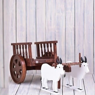 Farm Theme Props – Poko baby props